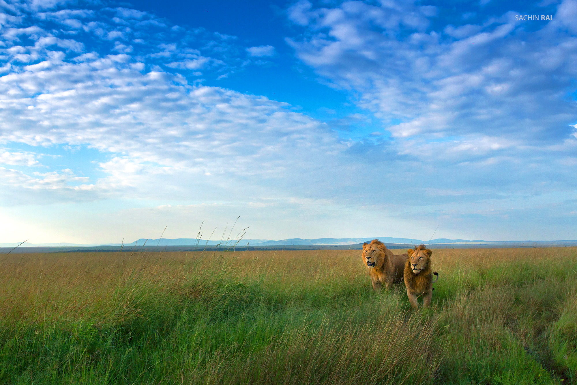 Photography Tours - Learn Nature & Wildlife Photography